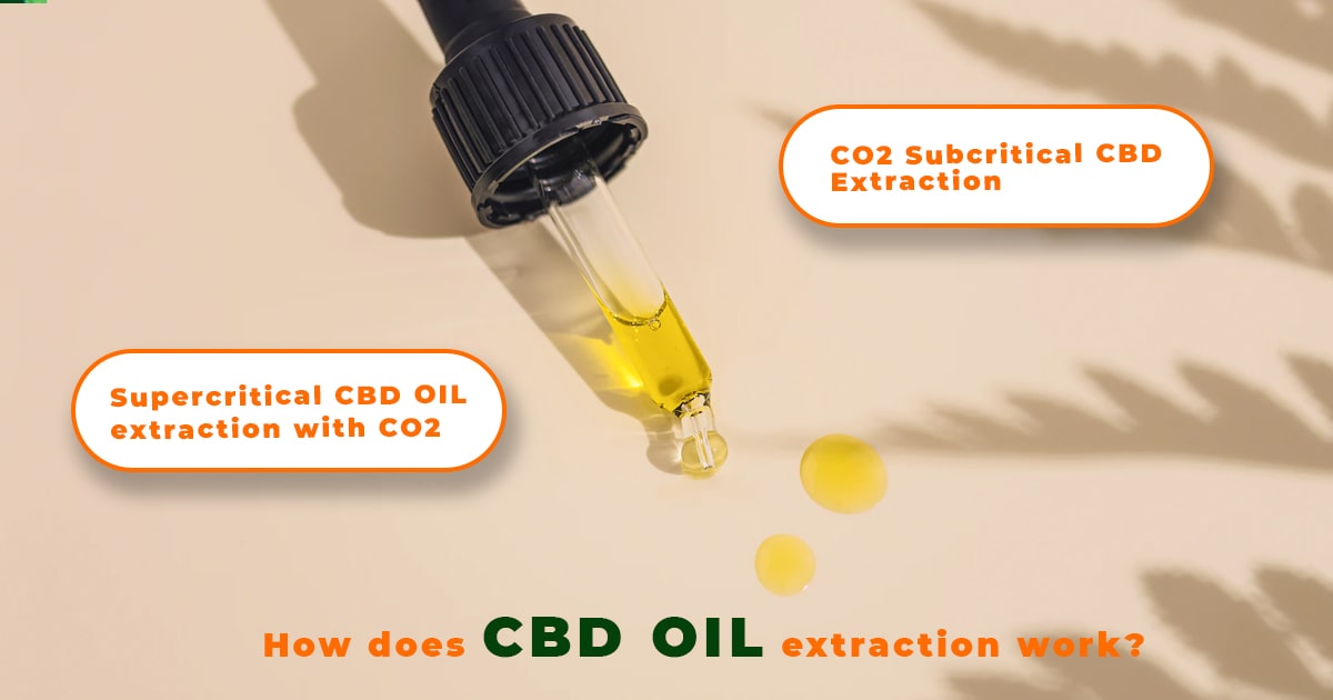 Subcritical And A Supercritical CO2 Extracted CBD Oil