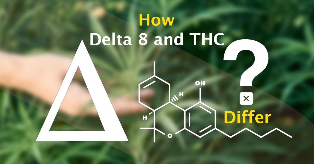 Difference Between Delta 8 Thc And Cbd And What To Choose
